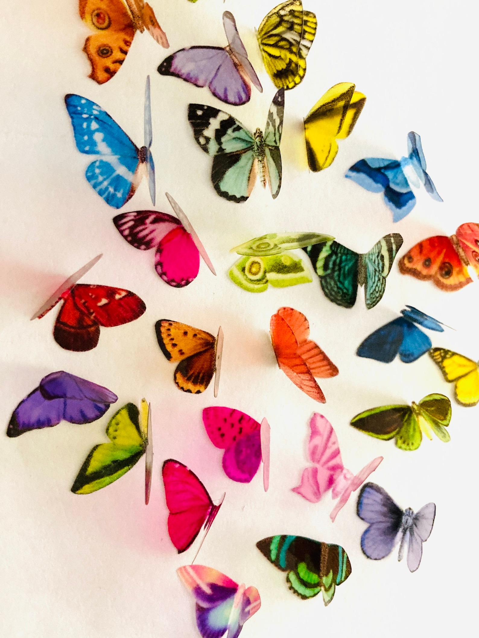 Miniature Individual Butterflies Plastic - Etsy