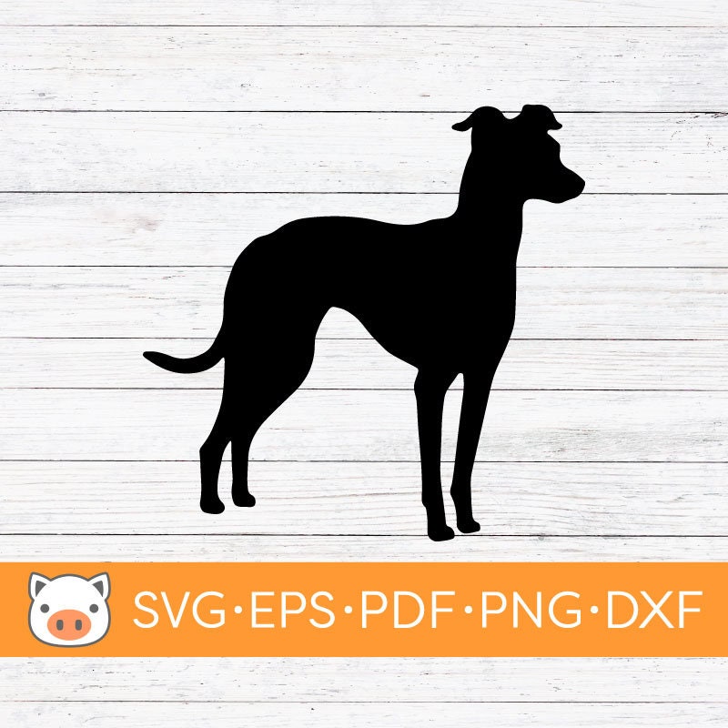 Italian Greyhound SVG Digital Download File, Dog SVG, Vector Cut File ...