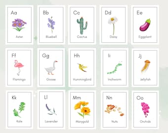 Nature ABC Cards Printable, Homeschool Printables, Classroom ABC ...