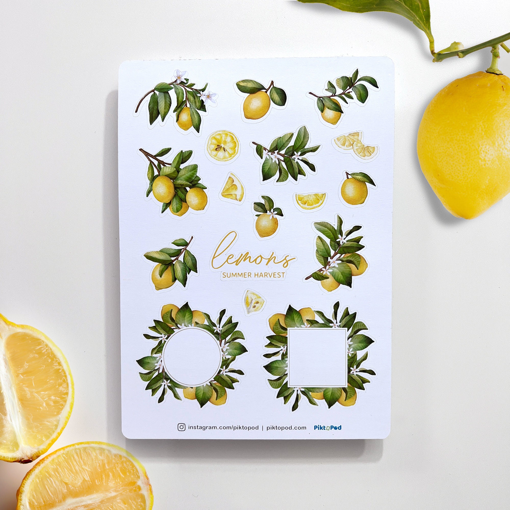Lemon Stickers Summer Harvest - Etsy