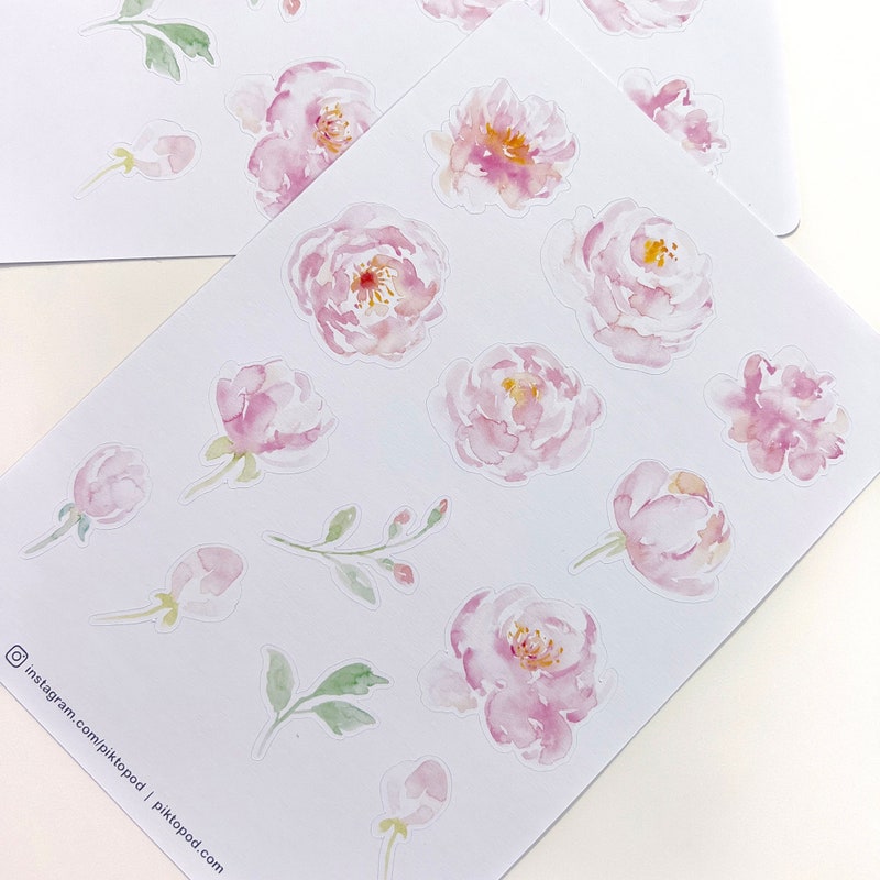 Peony Sticker - Etsy