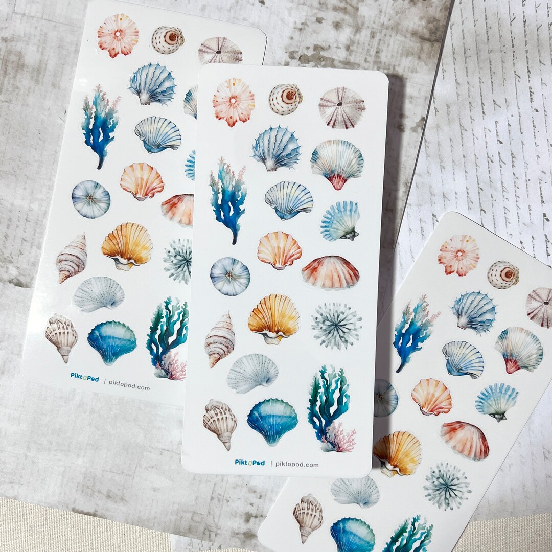 Seashell - Glossy Clear Stickers - Etsy