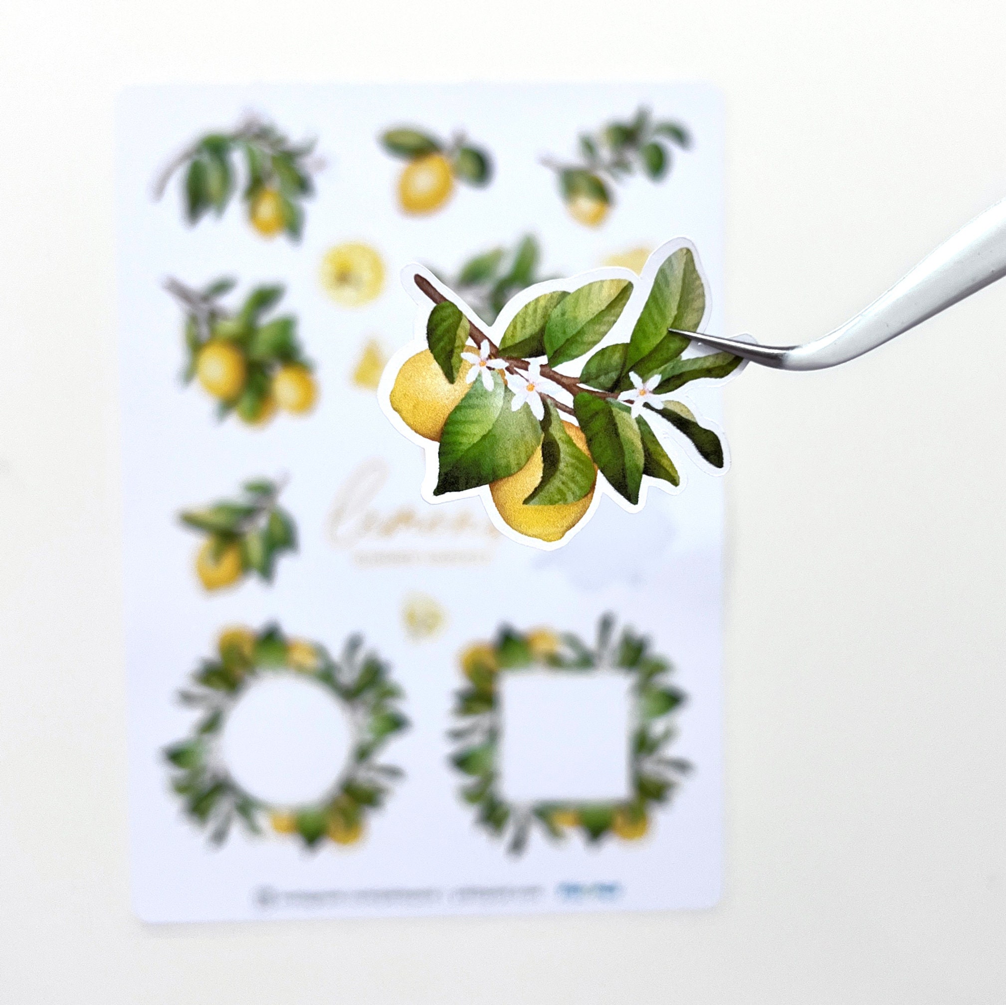 Lemon Stickers Summer Harvest - Etsy