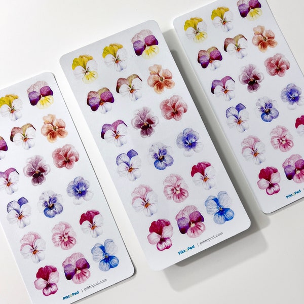 Pansy - Etsy