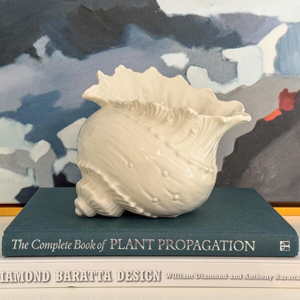 Clam Shell Planter - Etsy