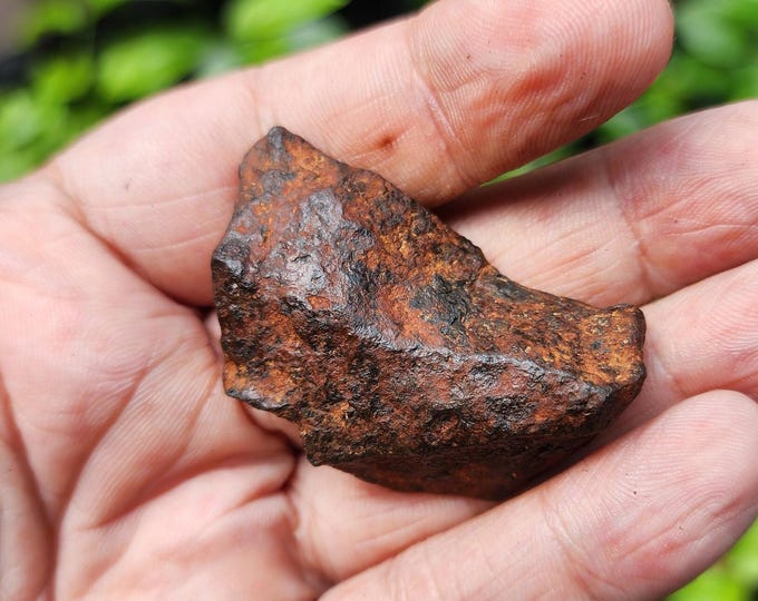 Gebel Kamil Meteorite - Iron Meteorite - Meteorite Rock - From Egypt ...