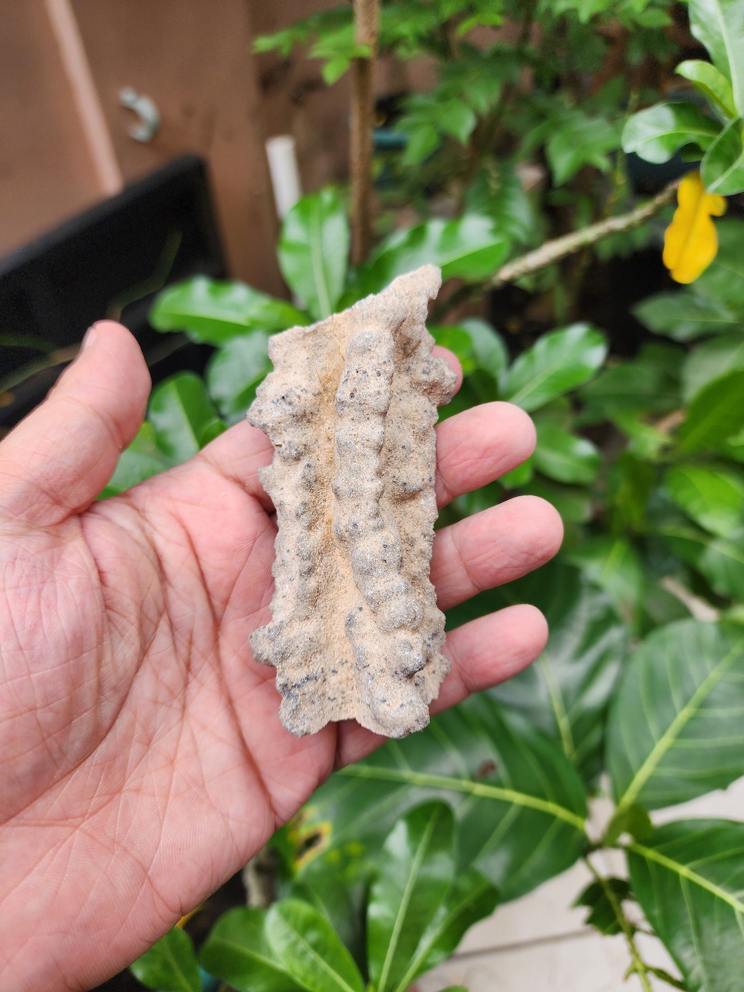 Unique Fulgurite Lightning Glass . FULGURITE Stone . Lightning Strikes ...