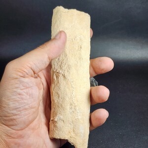 Fulgurite Lightning Glass . FULGURITE Stone, Lightning Strikes Sand ...