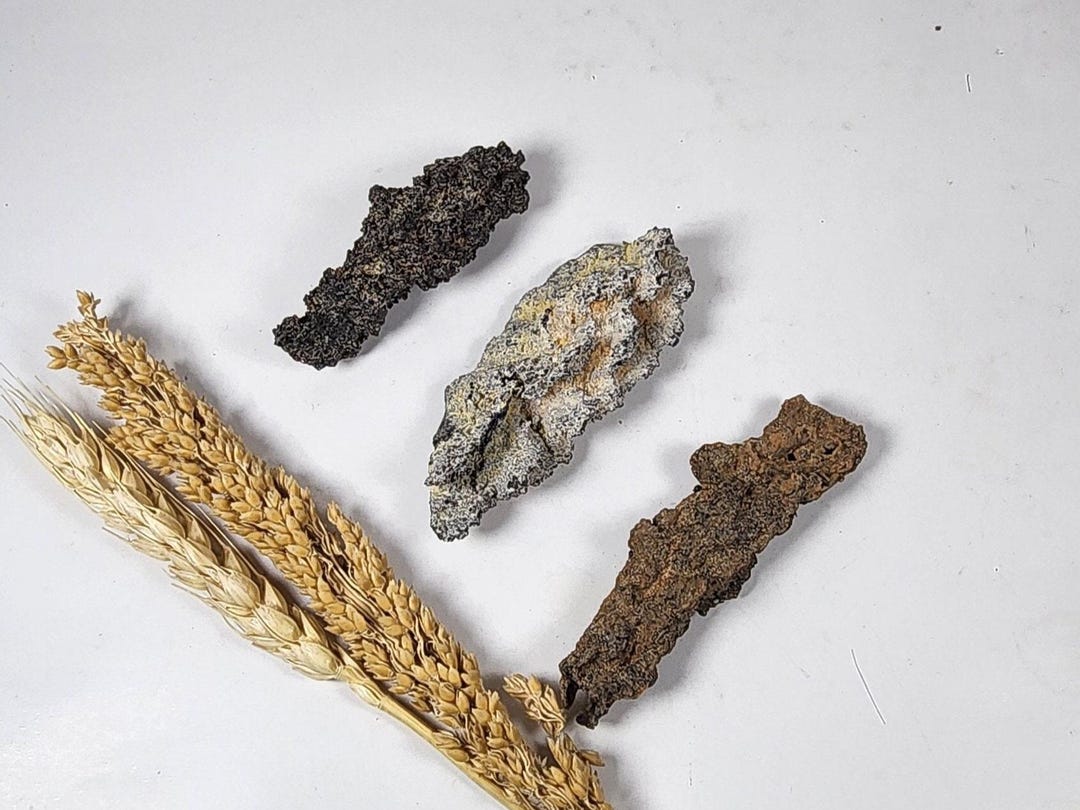 Fulgurite Lightning Glass . FULGURITE Stone . Lightning Strikes ...