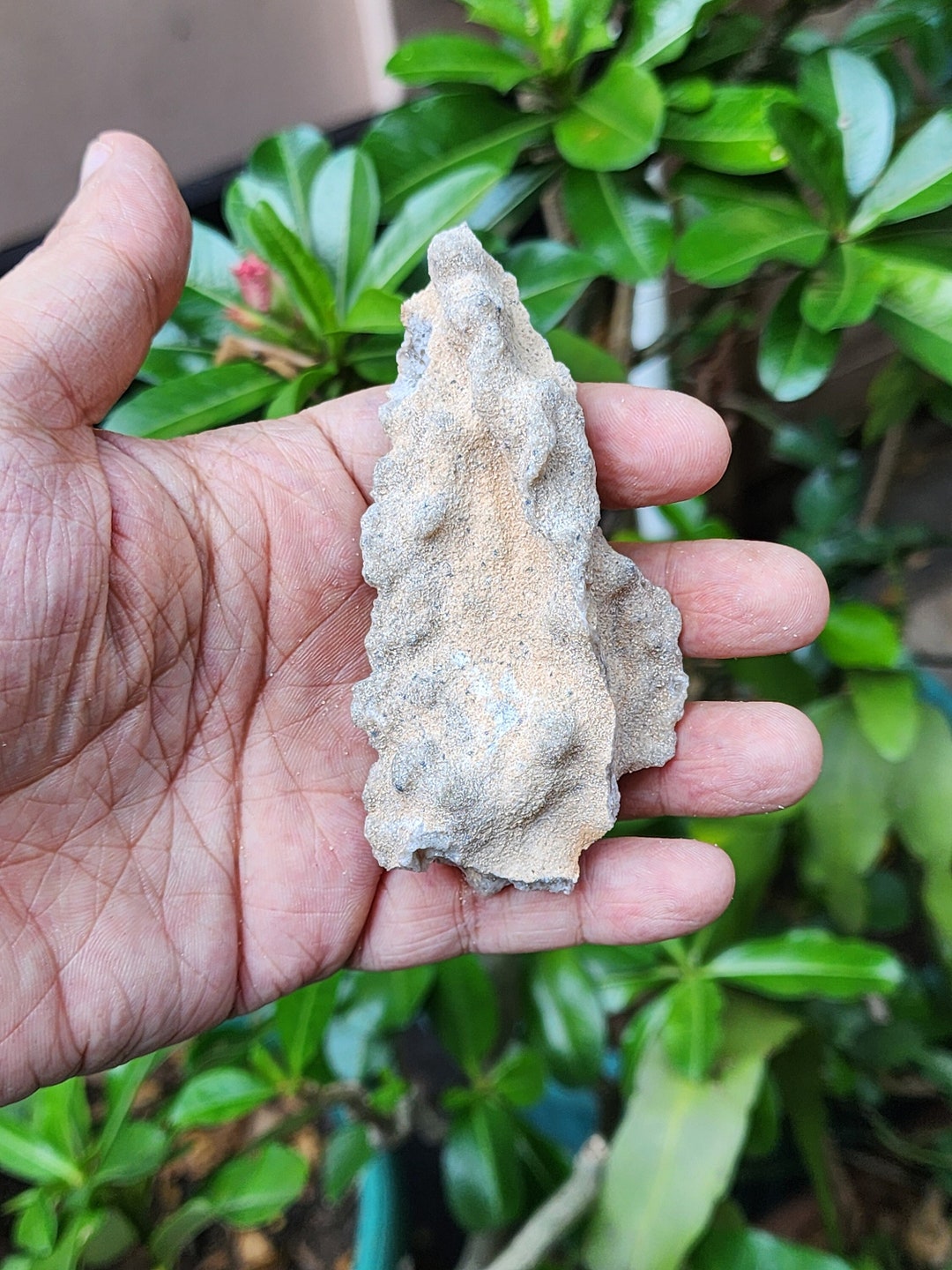 Fulgurite Lightning Glass . FULGURITE Stone, Lightning Strikes Sand ...