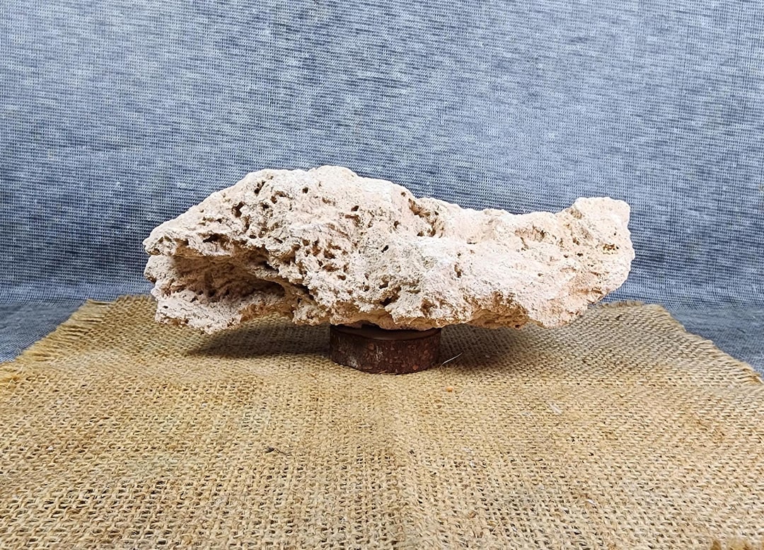 Sahara Fulgurite: Lightning Fused Glass Sand Tube (525GR) - Etsy