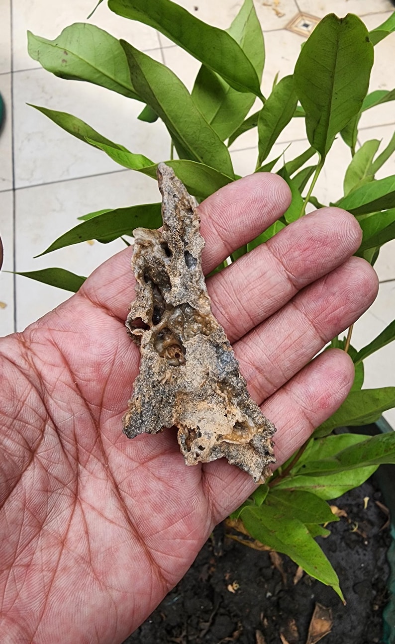 Fulgurite: Lightning Fused Glass Tube (13,5G) , Sahara Desert Fulgurite ...