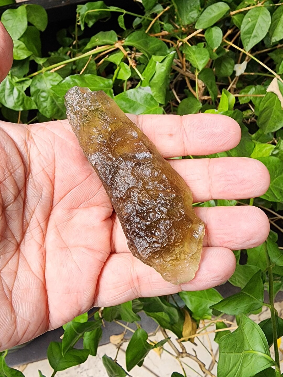 Libyan Desert Glass . Libyan Tektite . Libyan Glass . Libyan Tektite ...