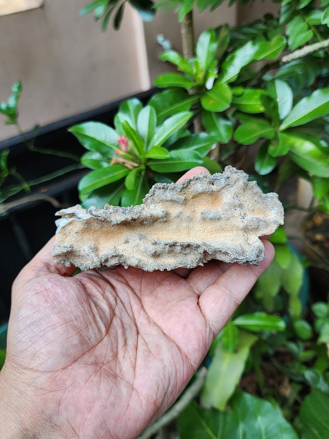 Fulgurite Lightning Glass . FULGURITE Stone, Lightning Strikes Sand ...