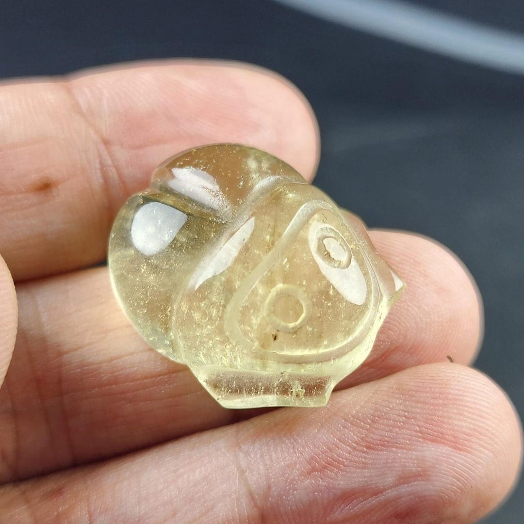 Libyan Desert Glass / Gold Scarab Beetle Carving / Libyan Gold Tektite ...
