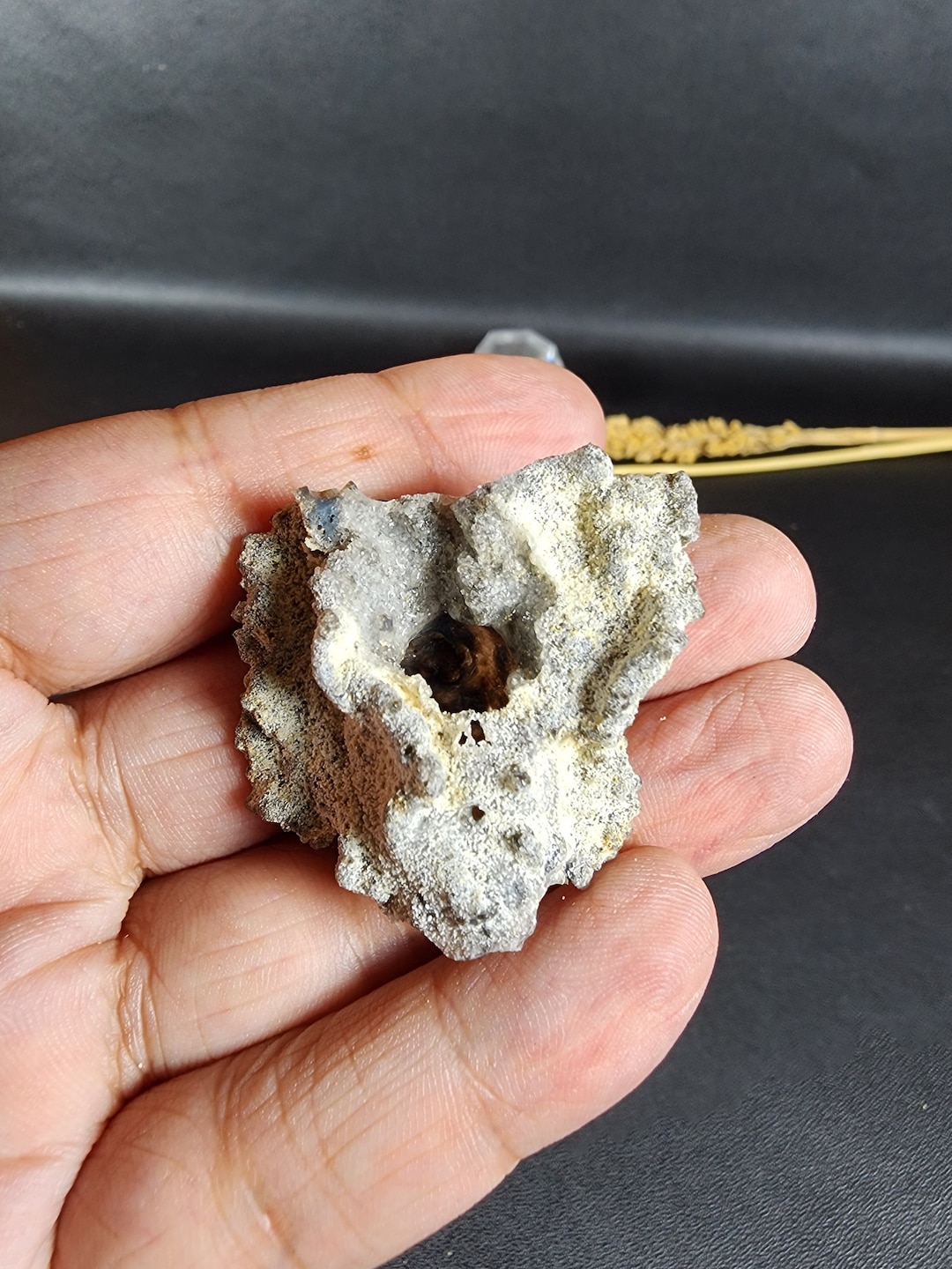 Fulgurite Lightning Glass . FULGURITE Stone, Lightning Strikes Sand ...