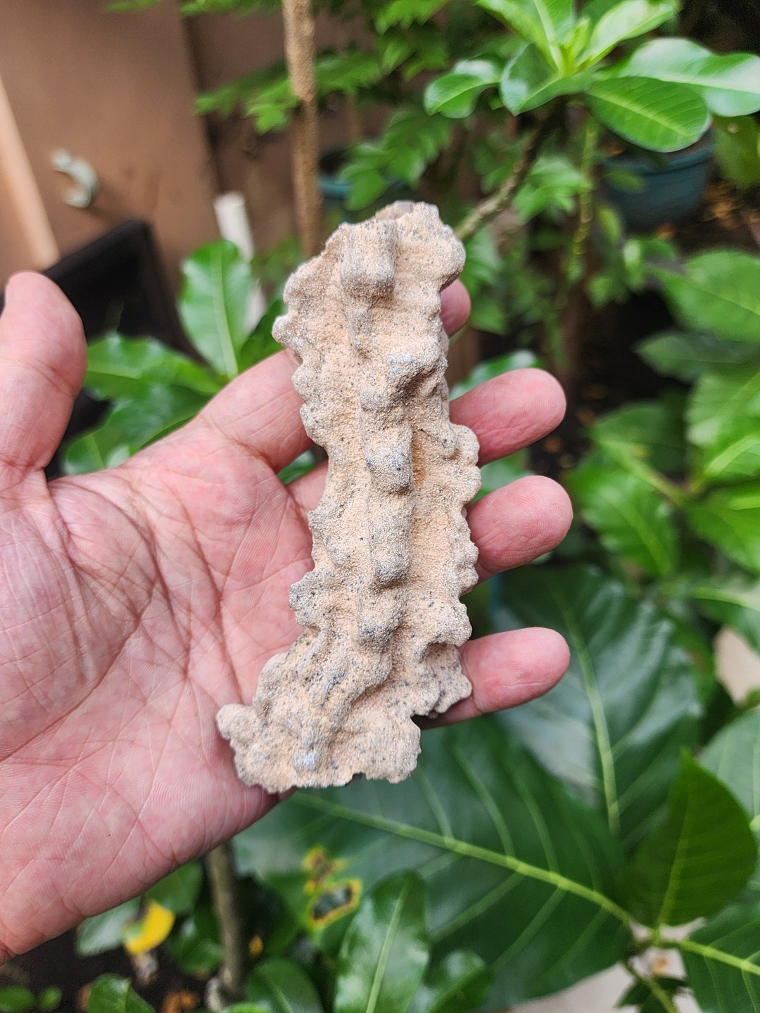 Unique Fulgurite Lightning Glass . FULGURITE Stone . Lightning Strikes ...