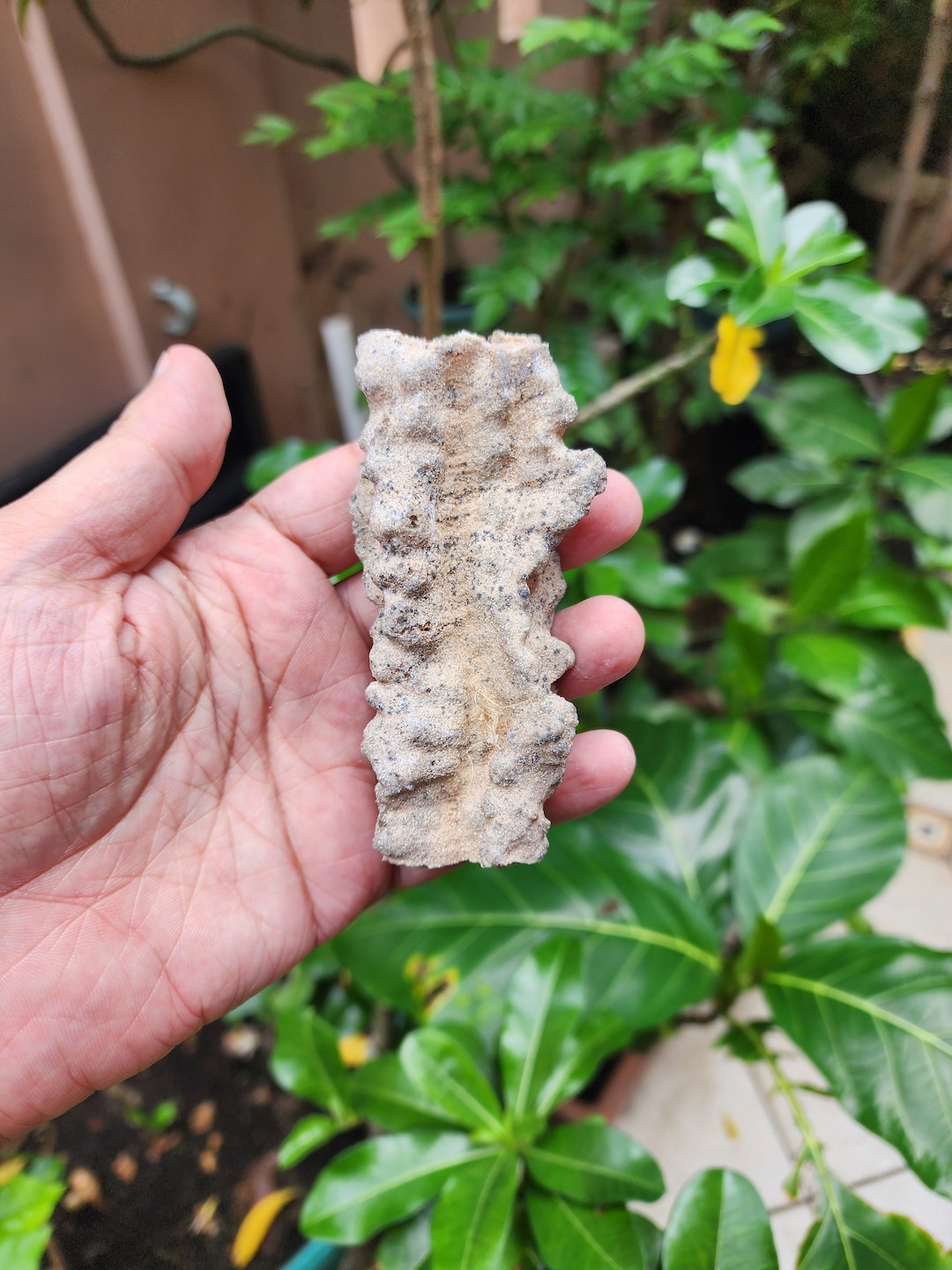 Unique Fulgurite Lightning Glass . FULGURITE Stone, Lightning Strikes ...