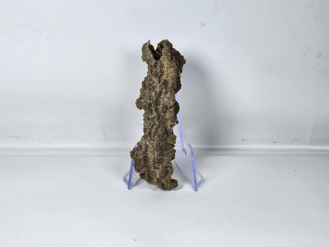Fulgurite Lightning Glass . FULGURITE Stone, Lightning Strikes Sand ...