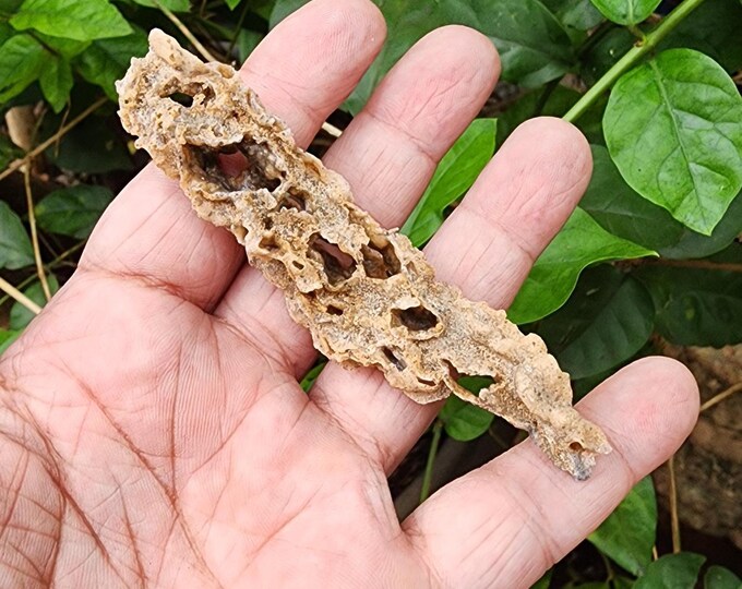 Fulgurite Lightning Glass . FULGURITE . Lightning Strikes Sand . Hollow ...