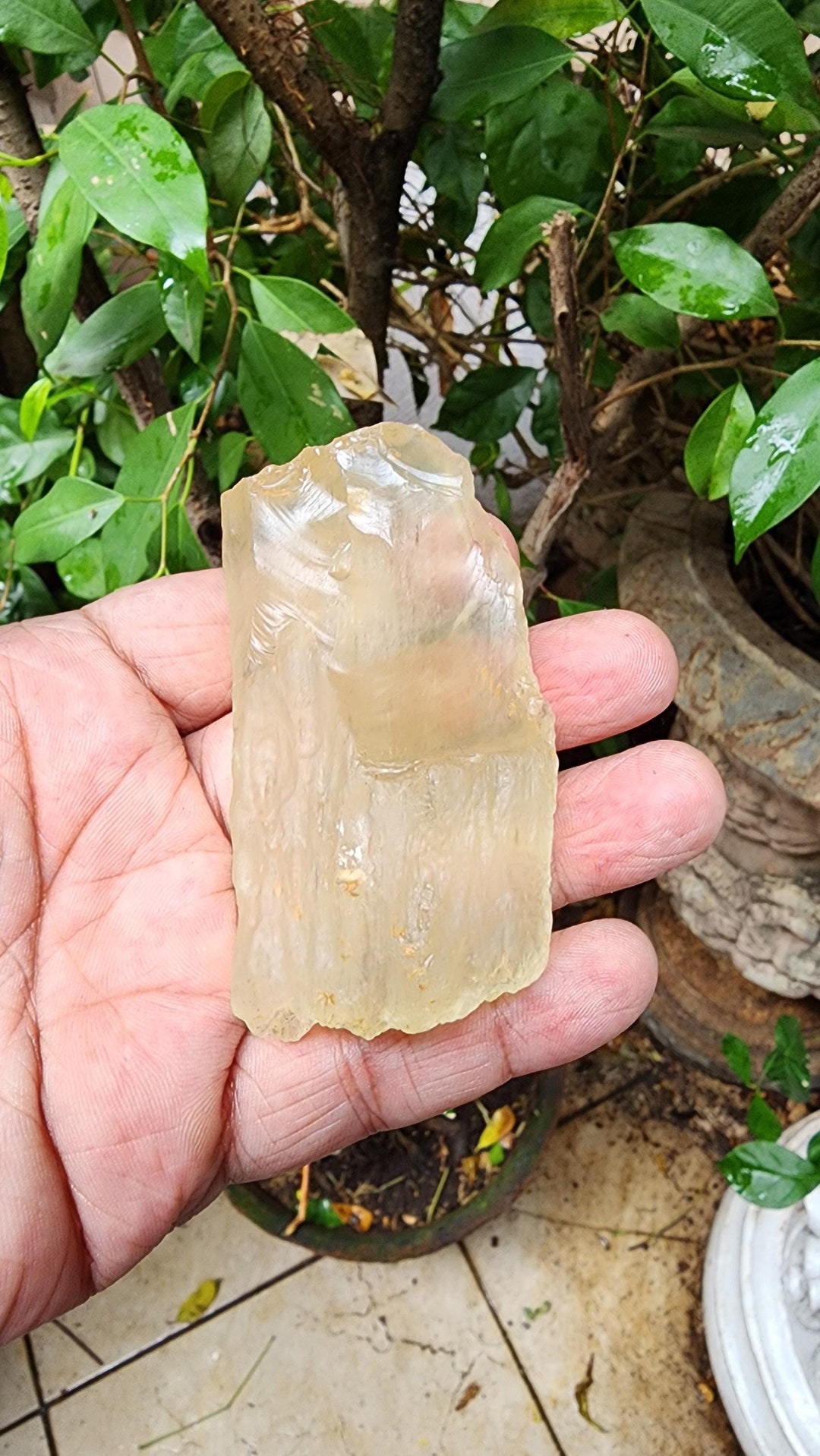 Libyan Desert Glass . Gold Ldg . Libyan Gold Tektite . Libyan Glass ...