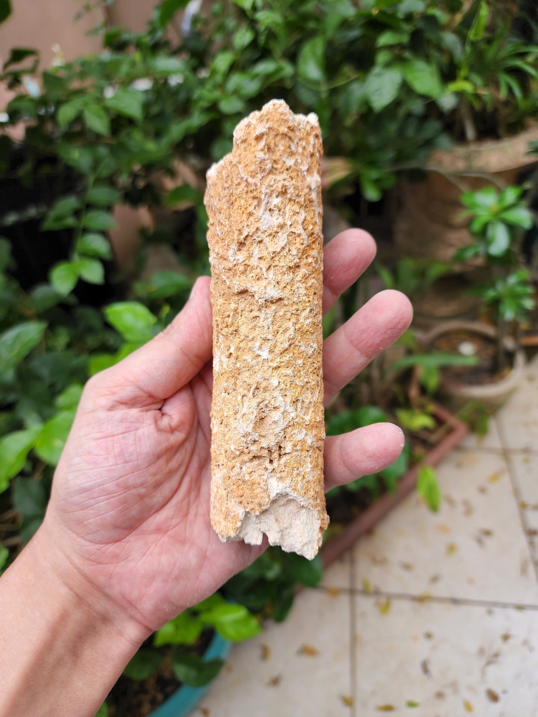 Fulgurite Lightning Glass . FULGURITE Stone, Lightning Strikes Sand ...