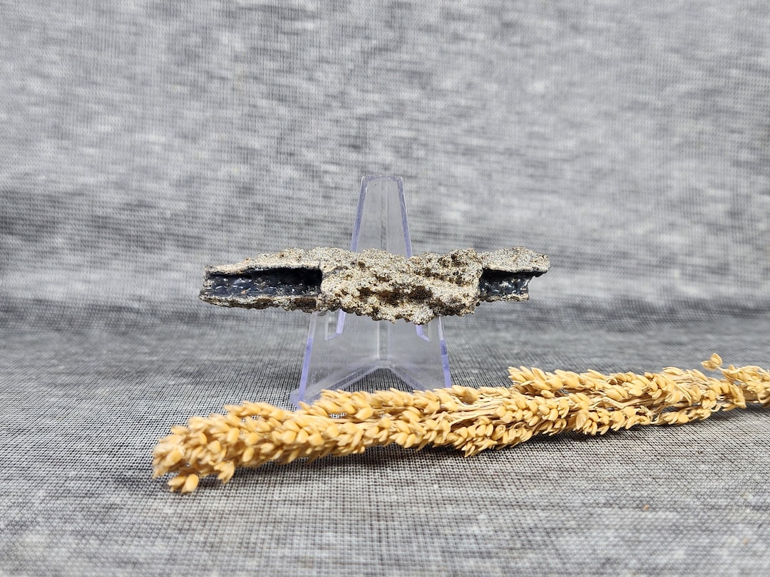 Fulgurite Lightning Glass . FULGURITE Stone . Lightning Strikes Sand ...