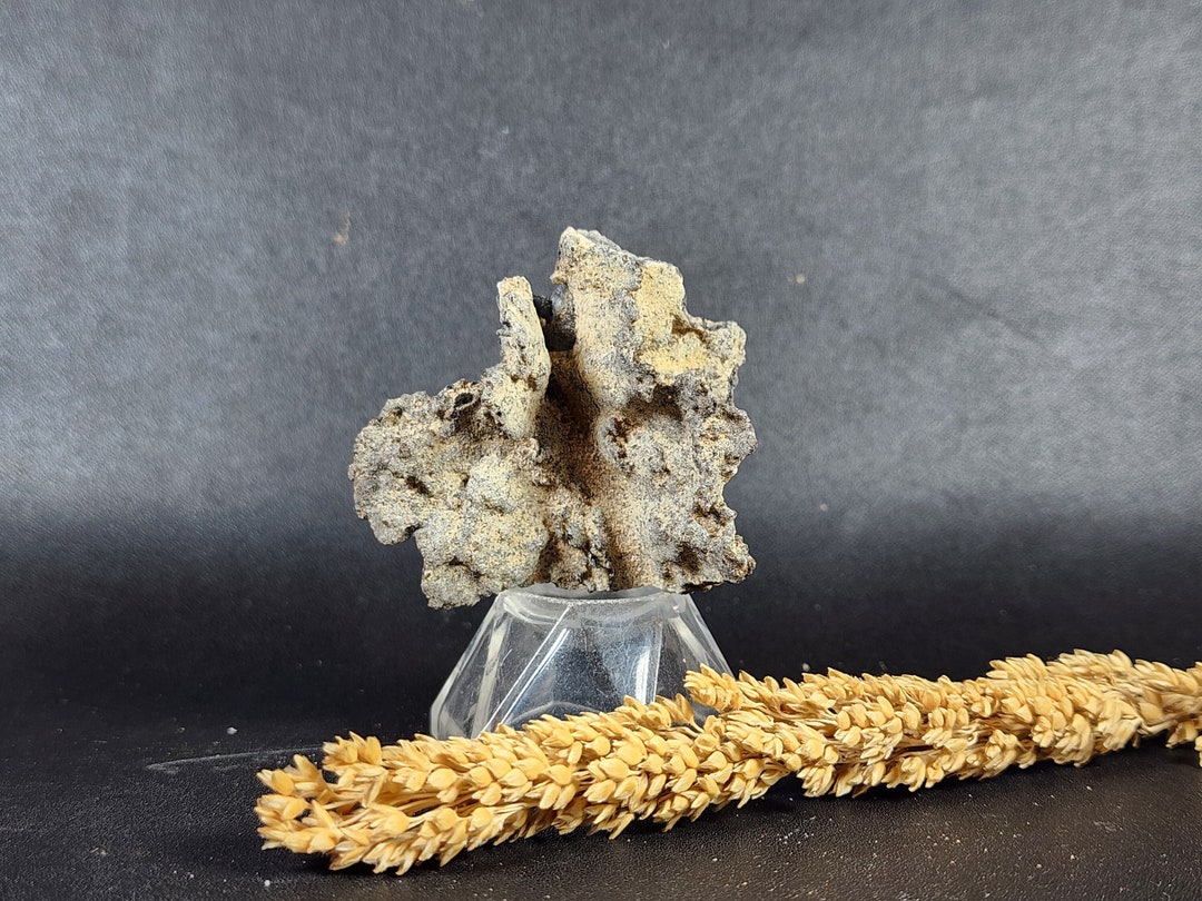 Fulgurite Lightning Glass . FULGURITE Stone . Lightning Strikes Sand ...
