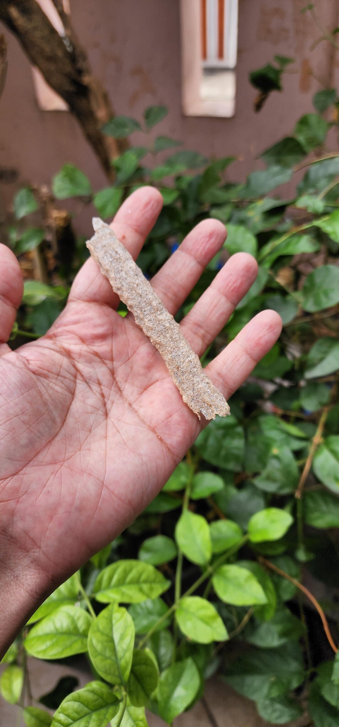 Fulgurite Lightning Glass . FULGURITE Stone, Lightning Strikes Sand ...