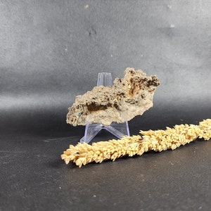 Fulgurite Lightning Glass . FULGURITE Stone, Lightning Strikes Sand ...