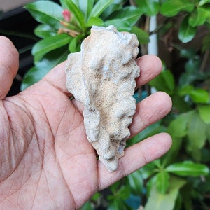 Fulgurite Lightning Glass . FULGURITE Stone, Lightning Strikes Sand ...