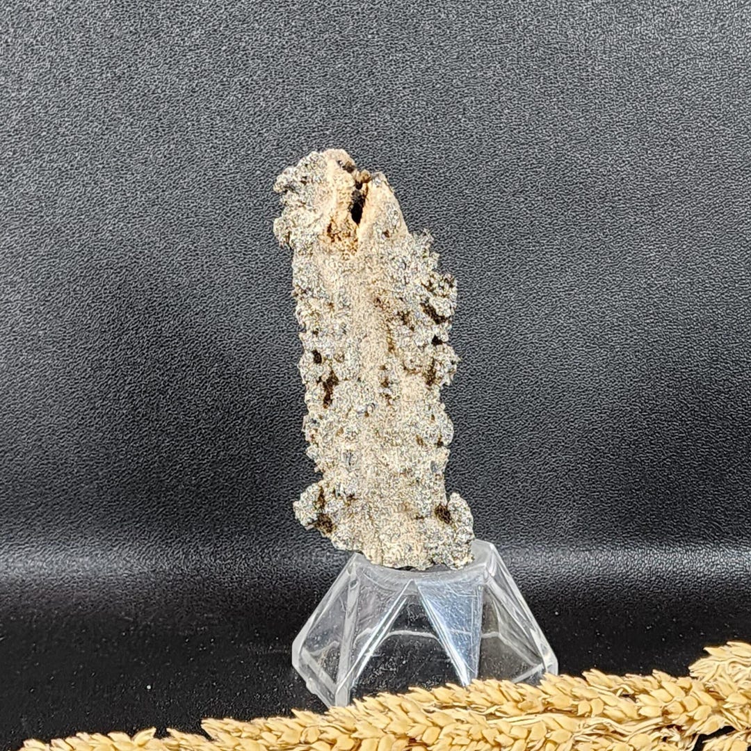 Fulgurite: Lightning Fused Glass Tube (11GR) , Sahara Desert Fulgurite ...