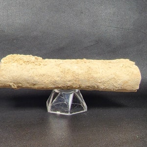 Fulgurite Lightning Glass . FULGURITE Stone, Lightning Strikes Sand ...
