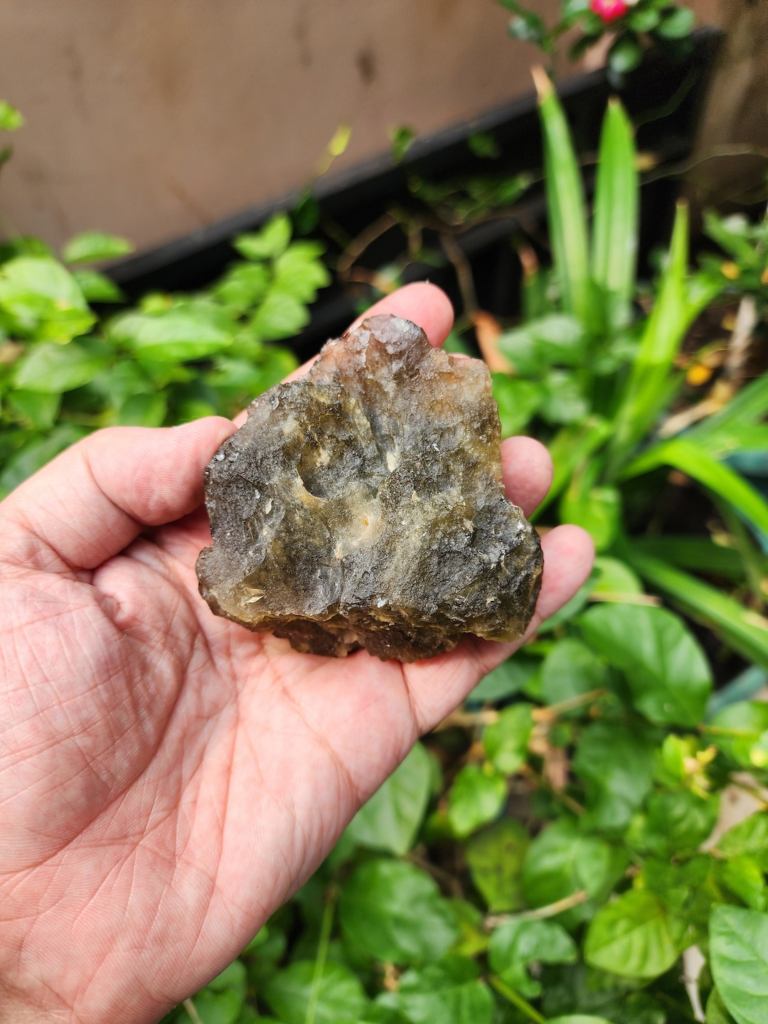 Libyan Desert Glass / Libyan Gold Tektite / Libyan Tektite / Libyan ...