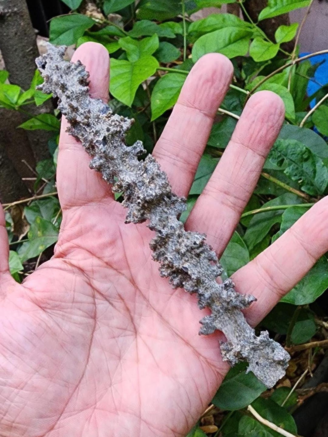Fulgurite Lightning Glass . FULGURITE Stone, Lightning Strikes Sand ...