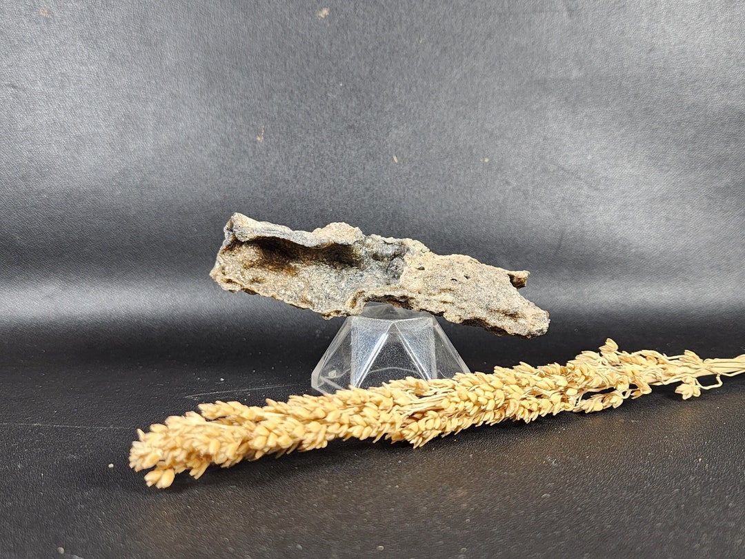 Fulgurite Lightning Glass . FULGURITE Stone, Lightning Strikes Sand ...