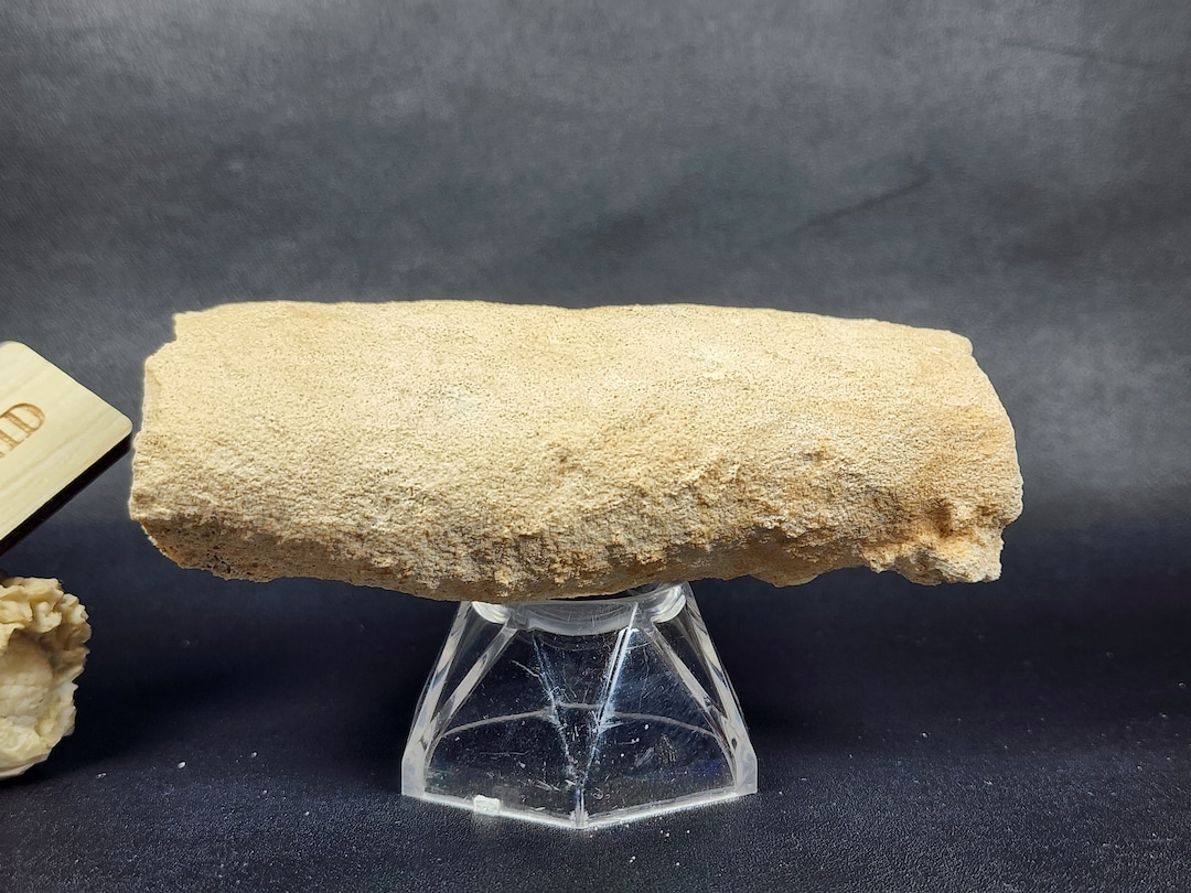 Fulgurite Lightning Glass . FULGURITE Stone, Lightning Strikes Sand ...