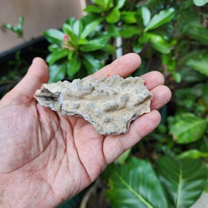 Fulgurite Lightning Glass . FULGURITE Stone, Lightning Strikes Sand ...