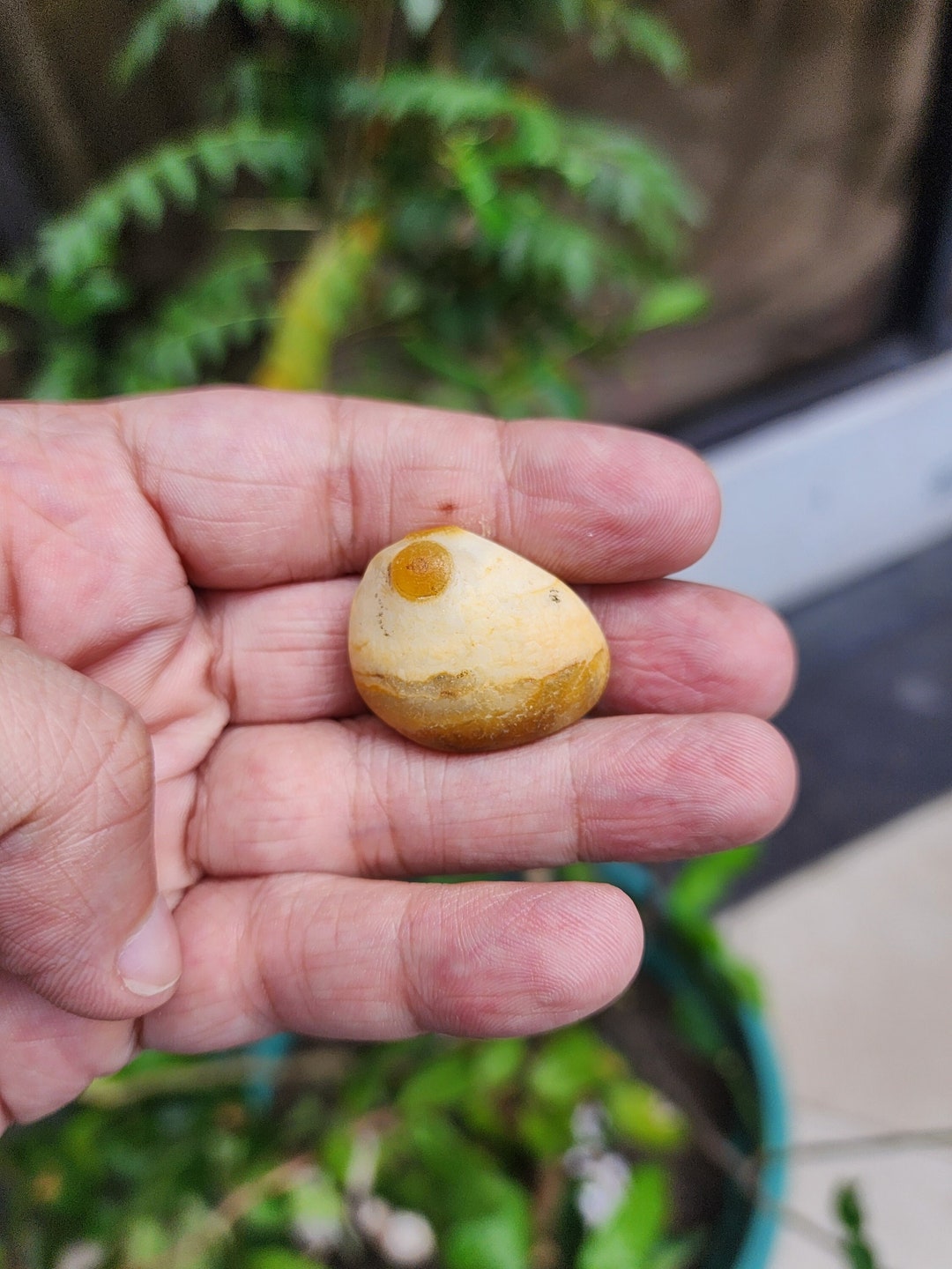 Gobi Eyes Agate . Natural Gobi Agate . Gobi Desert Egypt. 15.5GR . High ...