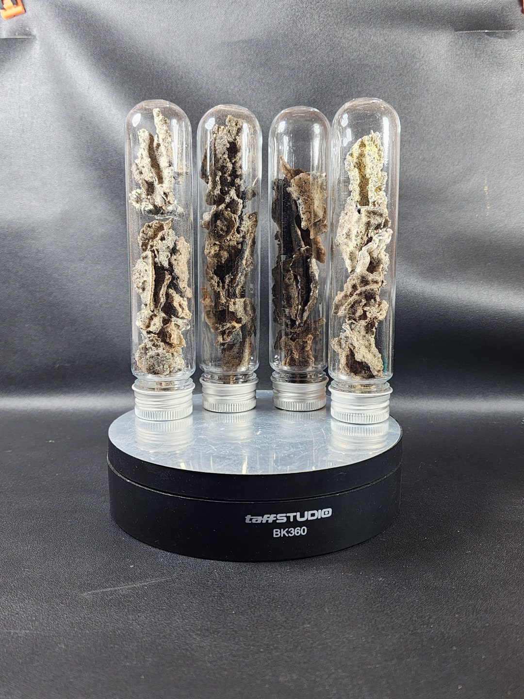 Sahara Desert Fulgurite: Lightning Fused Glass Tube (22GR) - Etsy