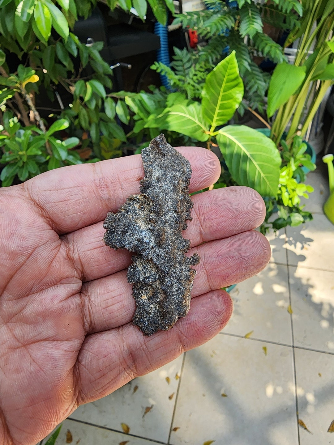 Fulgurite Lightning Glass . FULGURITE Stone . Lightning Strikes ...