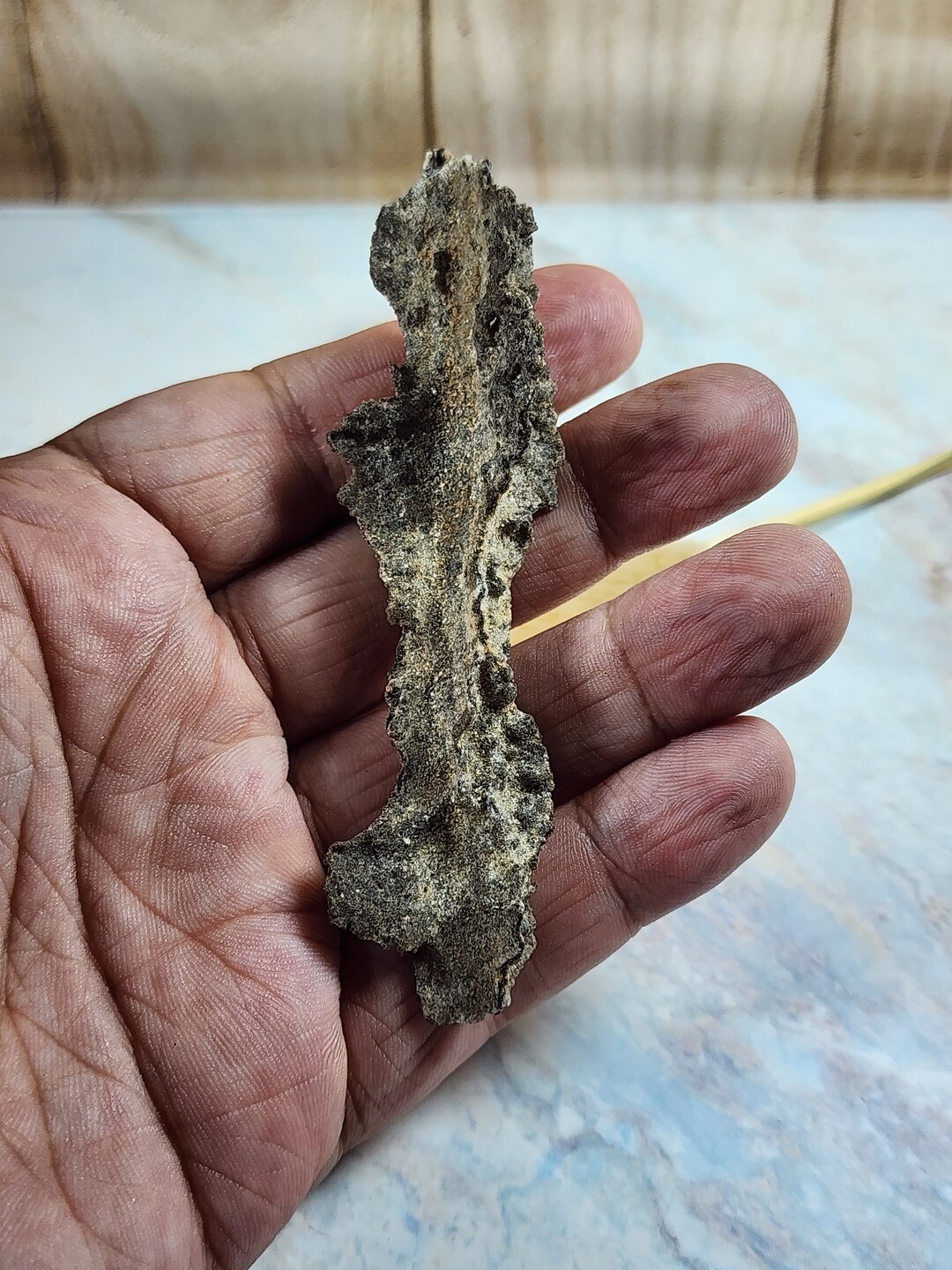 Sahara Desert Fulgurite: Lightning Fused Glass Tube (6GR) - Etsy