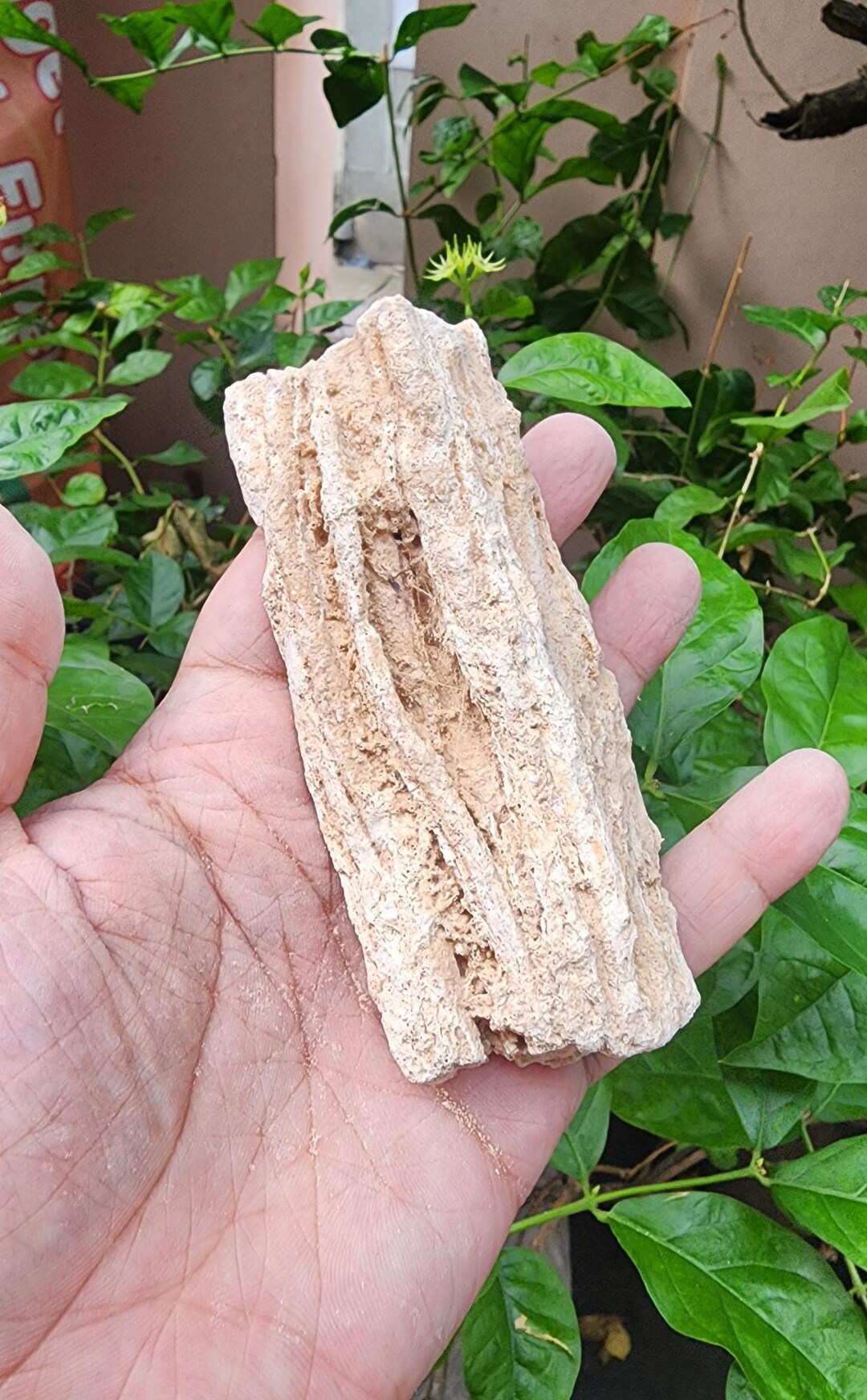 Sahara Desert Fulgurite: Lightning Fused Sand Glass Tube (112GR) - Etsy