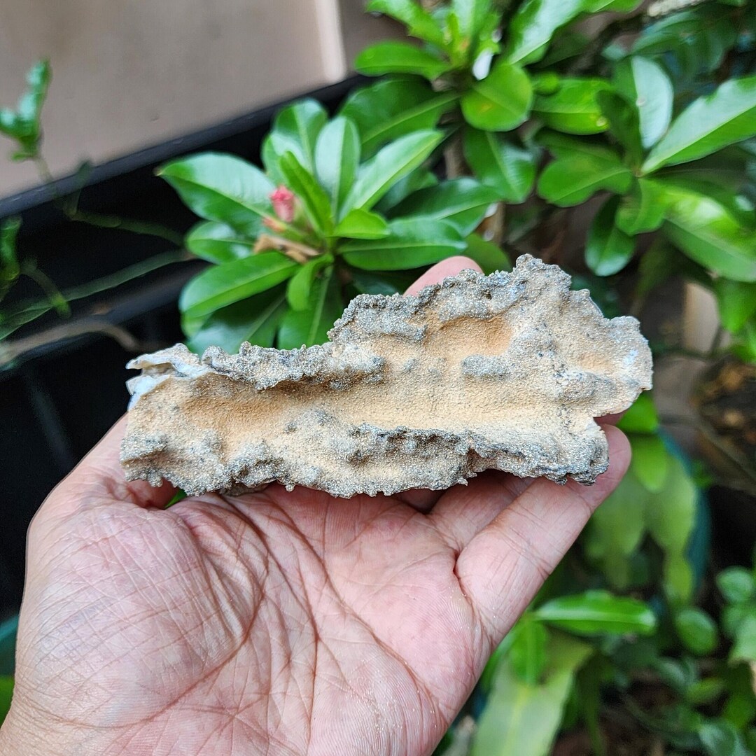 Fulgurite Lightning Glass . FULGURITE Stone, Lightning Strikes Sand ...