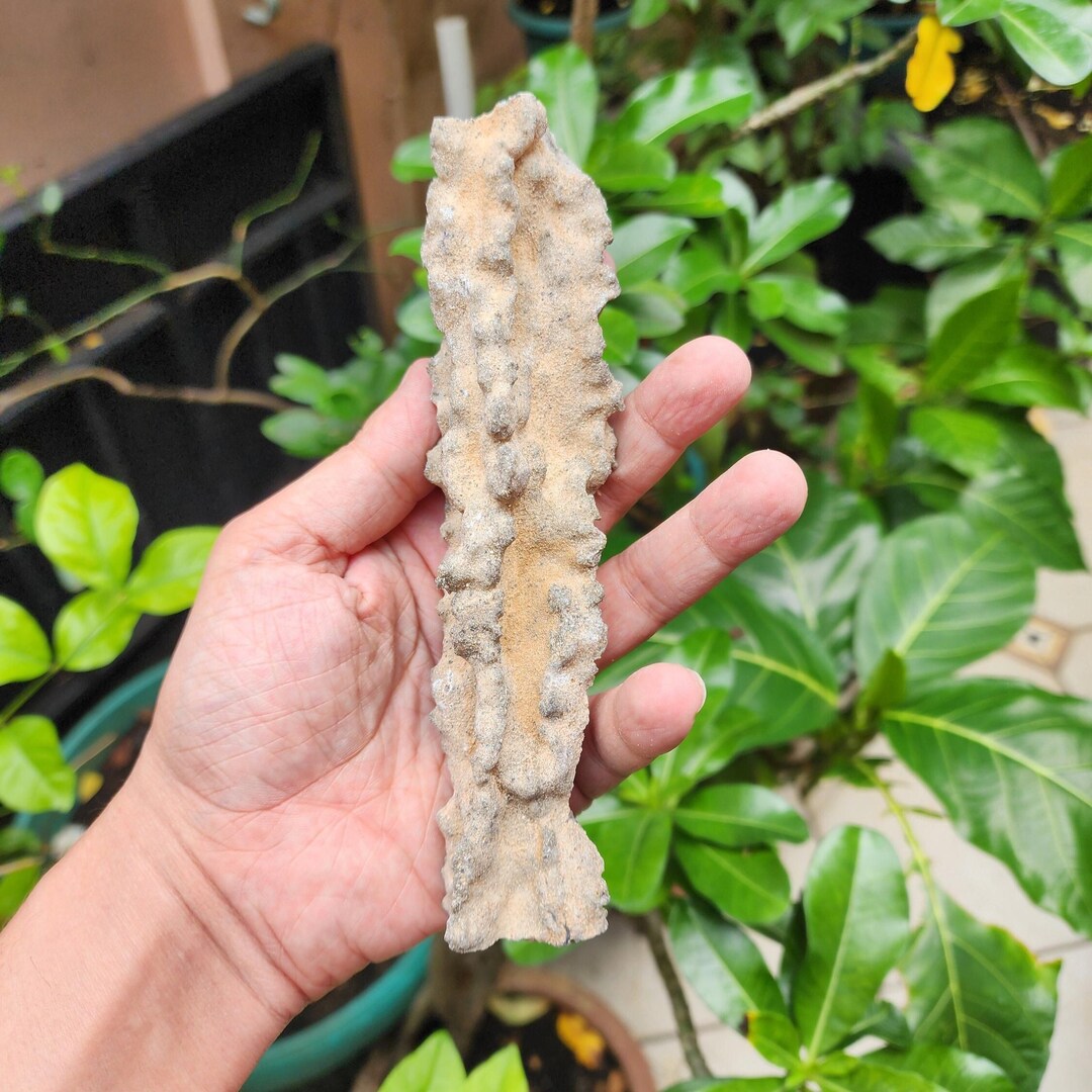 Unique Fulgurite Lightning Glass . FULGURITE Stone . Lightning Strikes ...