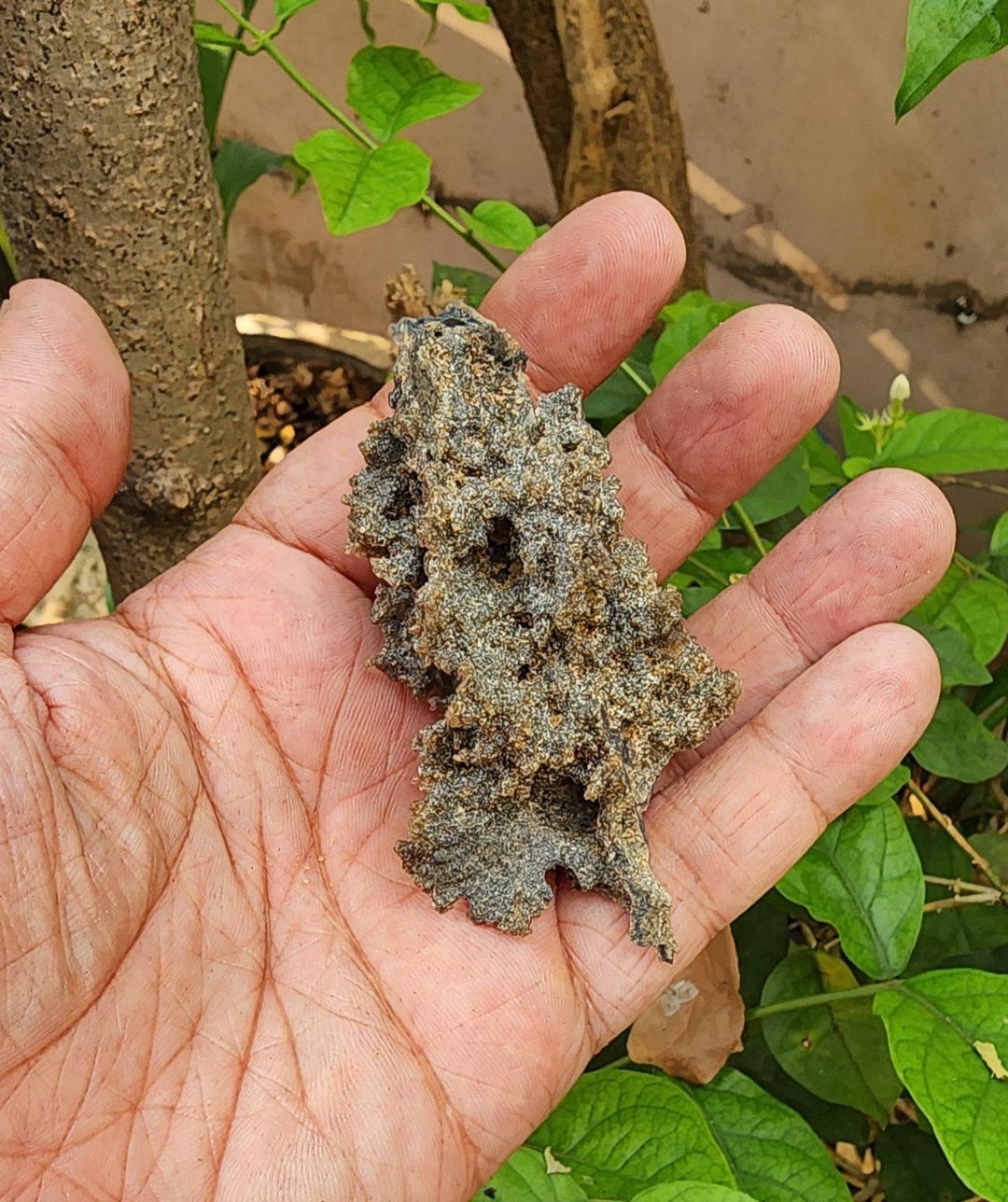Fulgurite Lightning Glass . FULGURITE Stone . Lightning Strikes Sand ...