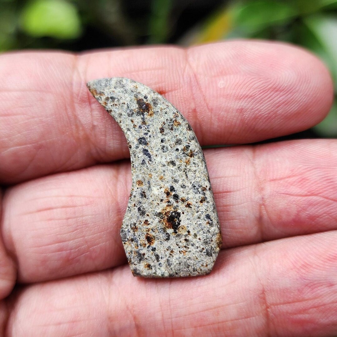 Sahara Desert Chondrite Meteorite Slice - 6gr . Chondrite LL5 S2 W1 - Etsy