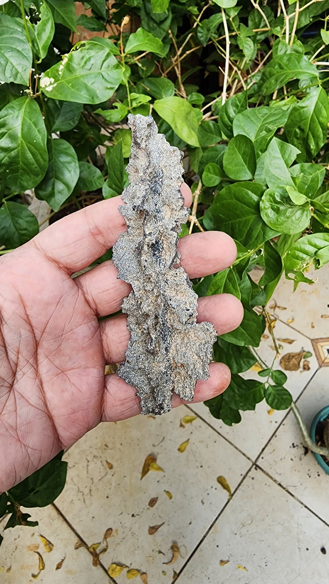 Fulgurite Lightning Glass . FULGURITE Stone, Lightning Strikes . Hollow ...