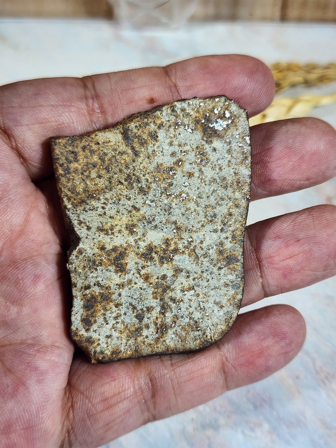 Meteorite Slice - Chondrite Slice - Fall at Sahara Desert - 31.5gr ...