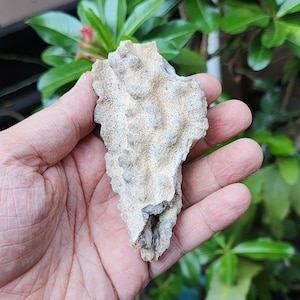Fulgurite Lightning Glass . FULGURITE Stone, Lightning Strikes Sand ...